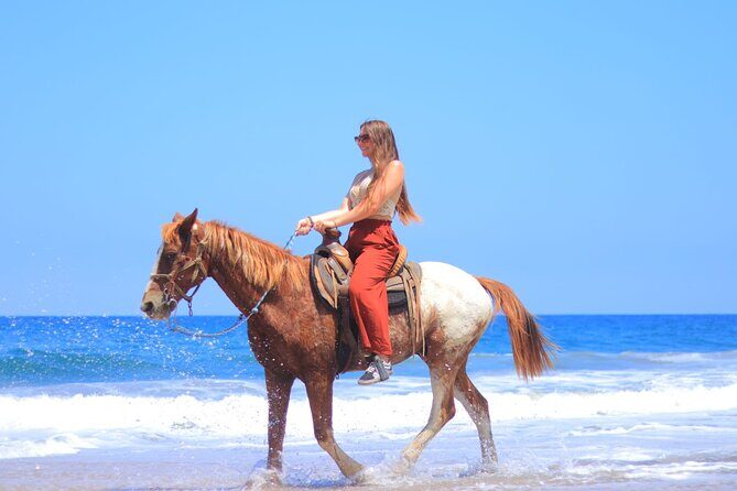 Private Jungle Horseback Adventure - Who Will Love This Tour?