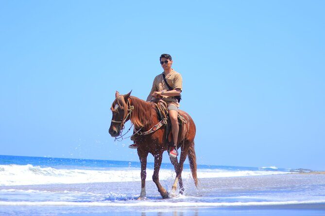 Private Jungle Horseback Adventure - FAQ