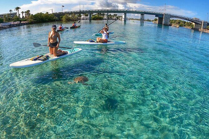 Private Jupiter Island Guided Paddle Boarding Tour - Key Points