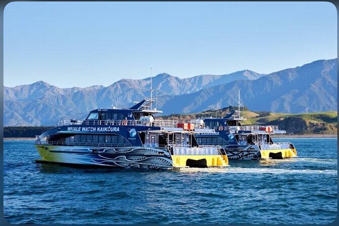 Private Kaikoura Whale Watching Day Trip From Christchurch - Key Points
