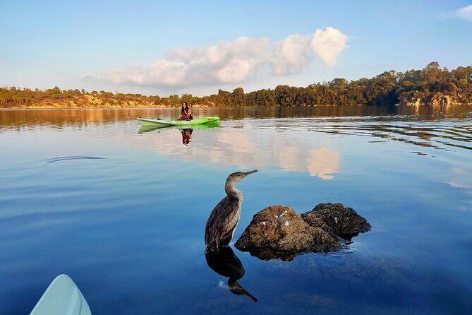 Private kayak tour at sunset in Biderosa oasis - What to Expect on the Day