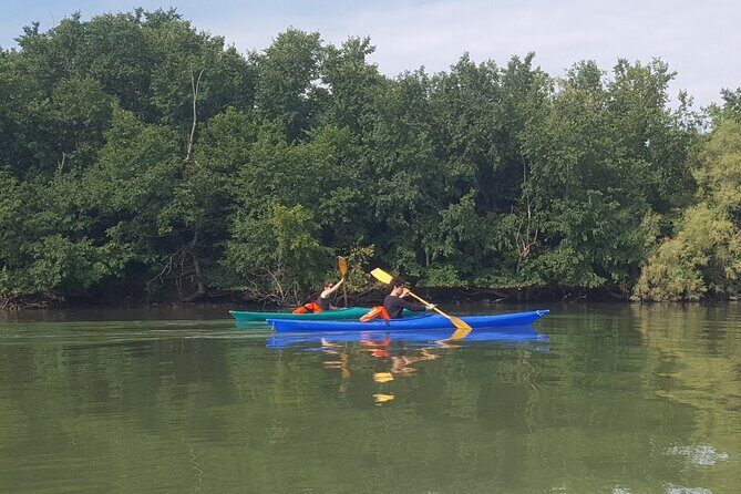 Private Kayak Tour in the Venetian Lagoon - Key Points