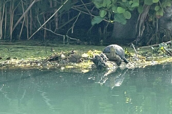 Private Kayaking Experience in Parga area - Why This Tour Delivers Great Value