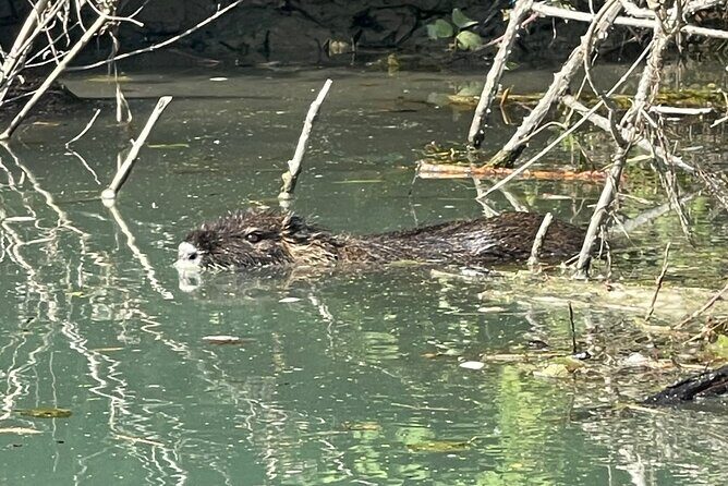 Private Kayaking Experience in Parga area - Who Will Love This Experience?