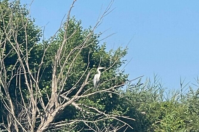 Private Kayaking Experience in Parga area - FAQ