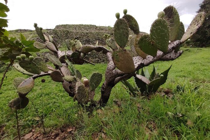 Private kayaks tour in Xochimilco & Cuicuilco pyramid - Why This Tour Works Well