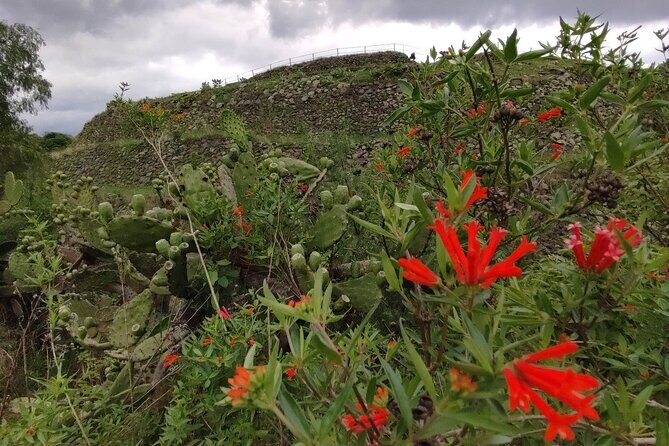 Private kayaks tour in Xochimilco & Cuicuilco pyramid - Final Thoughts: Who Should Book This Tour?