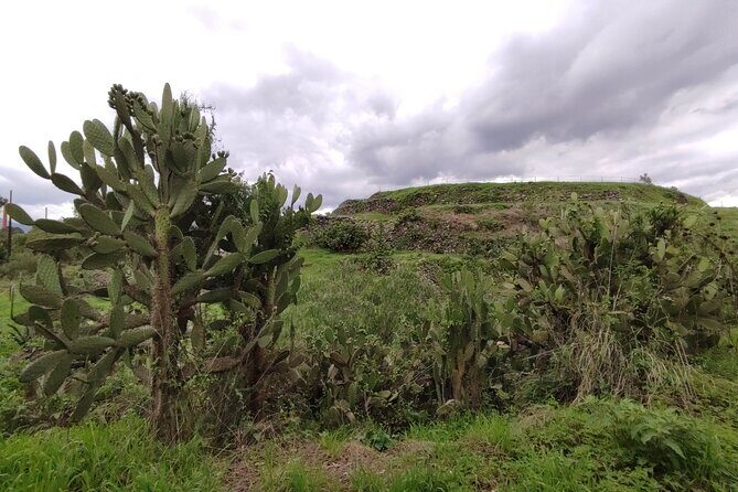 Private kayaks tour in Xochimilco & Cuicuilco pyramid - FAQs