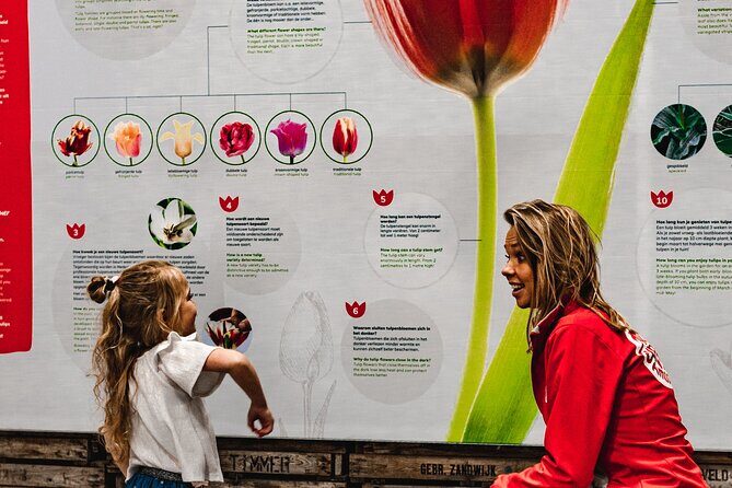 Private Keukenhof Gardens and Tulip Fields Tour from Amsterdam - Exploring the Private Keukenhof Gardens and Tulip Fields Tour from Amsterdam