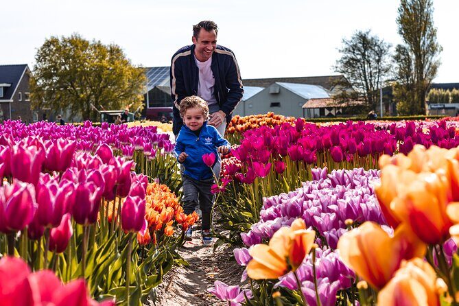 Private Keukenhof Gardens and Tulip Fields Tour from Amsterdam - Who Is This Tour Best For?