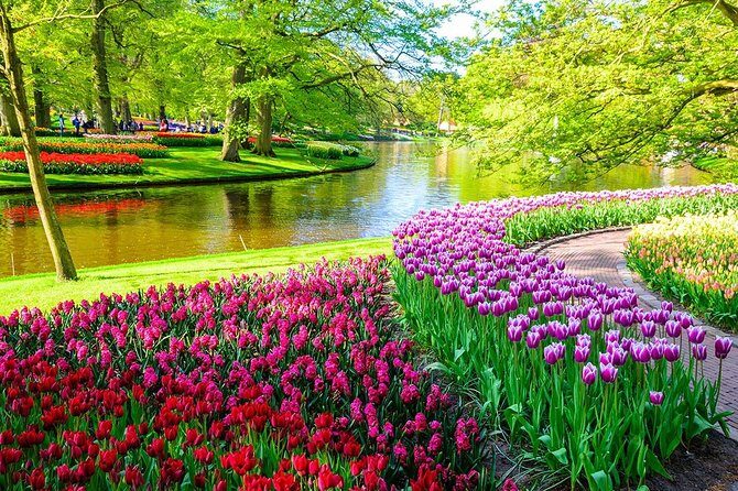 Private Keukenhof Park and Tulip Fields Tour (Skip-The-Line) - The Experience: What You Can Expect