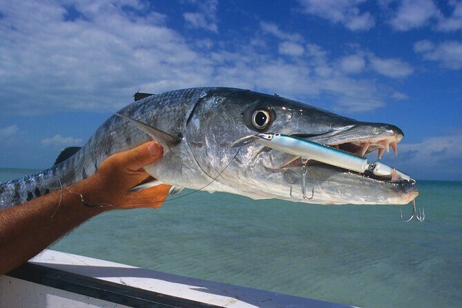 Private Key West Fishing & Sandbar or Snorkel Charter - Private Key West Fishing & Sandbar or Snorkel Charter Review