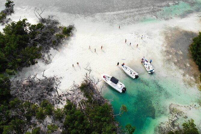 Private Key West Fishing & Sandbar or Snorkel Charter - Key Points