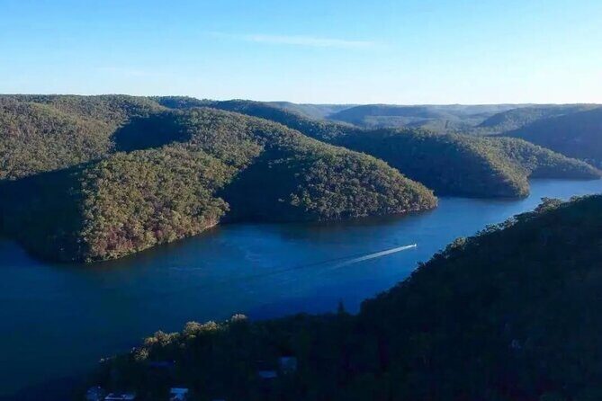 Private Koala Park Sanctuary Minivan Tour Sydney - Introduction