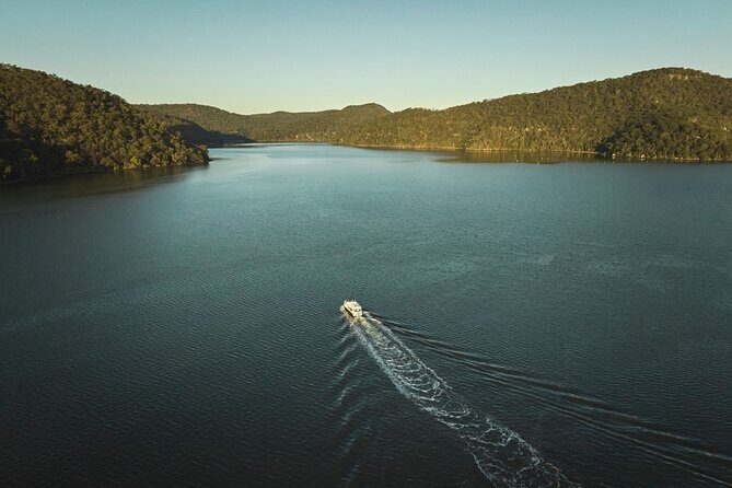 Private Koala Park Sanctuary Minivan Tour Sydney - In-Depth Review of the Tour Experience