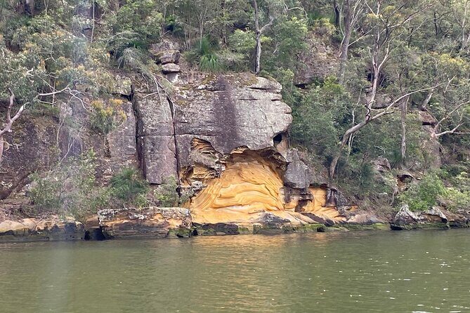 Private Koala Park Sanctuary Minivan Tour Sydney - FAQ