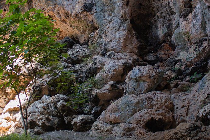 Private Korcula Eco Tour with Guide - Potential Drawbacks or Considerations