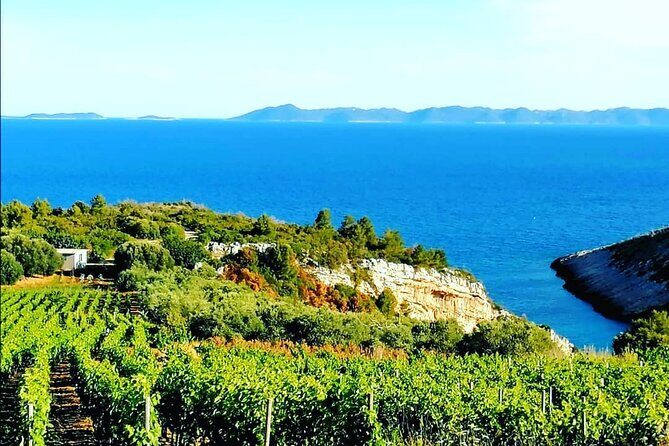 Private Korcula wine tour and tasting - Transportation and Logistics