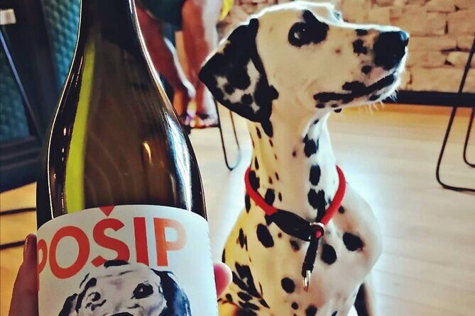 Private Korcula wine tour and tasting - Final Thoughts