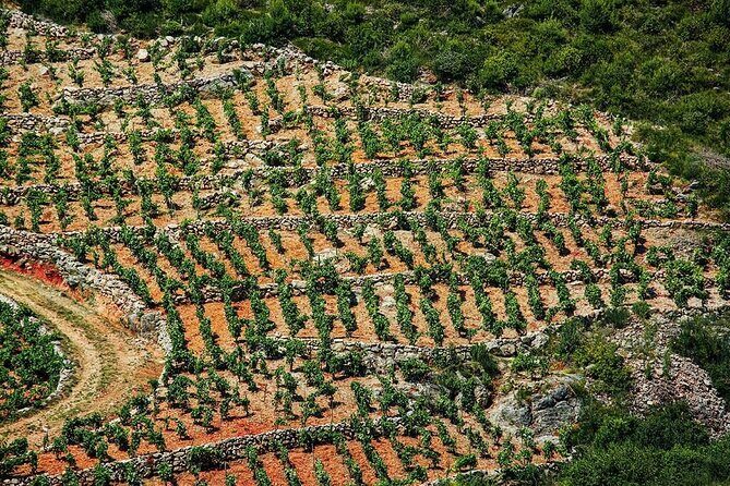 Private Korula & Ston: Island Charms, Peljeac Delights & Wine - Who Will Love This Tour?