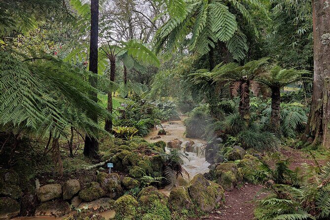 Private Lagoon of Fire and Furnas Tour - Wrapping It Up