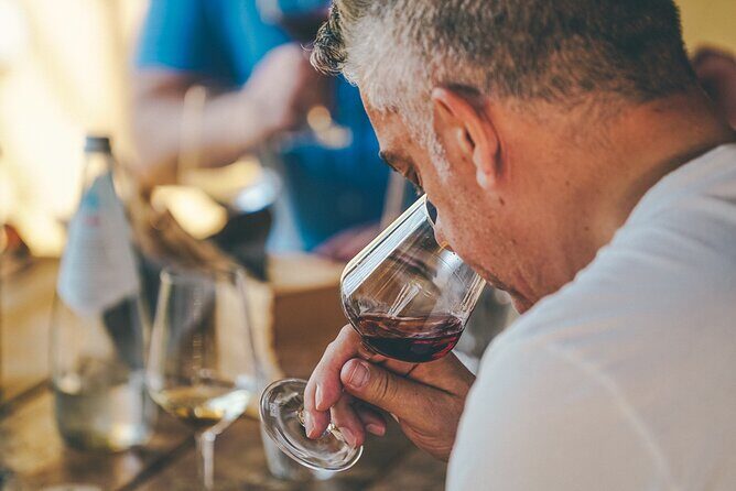 Private Langhe and Barolo Wine Tour from Milan - Exploring the Itinerary: A Step-by-Step Breakdown