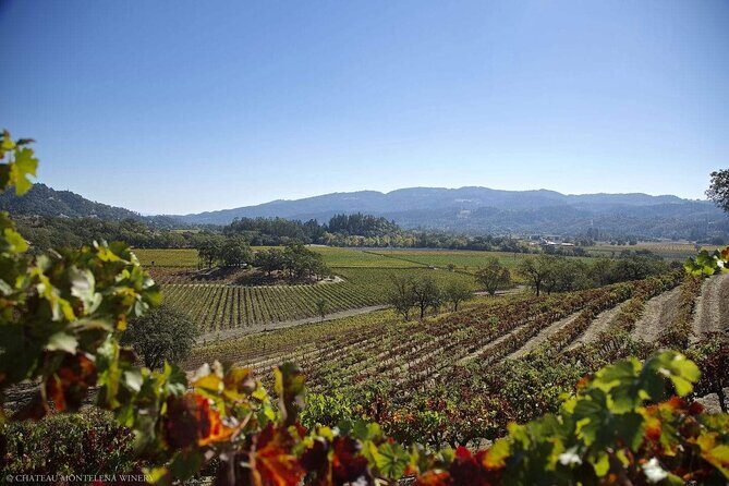 Private Limo Wine Tours in Sonoma and Napa Valley - Final Thoughts