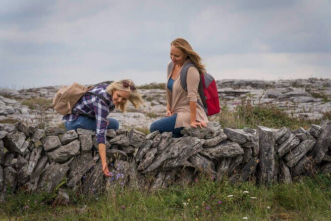 Private Limousine hire Cliffs of Moher Day Tour - Who Should Consider This Tour?