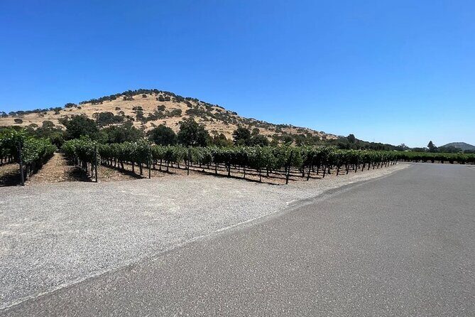 Private Limousine Tour of Napa or Sonoma Valley - The Experience of Travel and Group Size