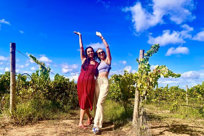 Private Lisbon-Arrábida Wine Tour: 3 Wineries, Coast & Heritage - What Travelers Love (and What to Consider)