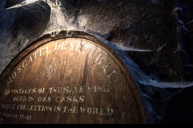 Private Lisbon Arrabida Wine Tour: Food & Wines, Mountain and Sea - An Introduction to the Experience