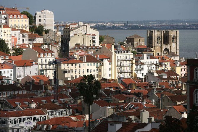 Private Lisbon Walking Tour - Why This Tour Offers Real Value