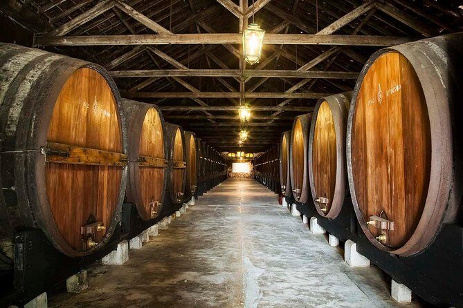 Private Lisbon wine tasting tour in the Setubal region - A Closer Look at the Itinerary