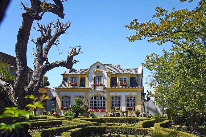 Private Lisbon wine tasting tour in the Setubal region - Practical Details and Tips