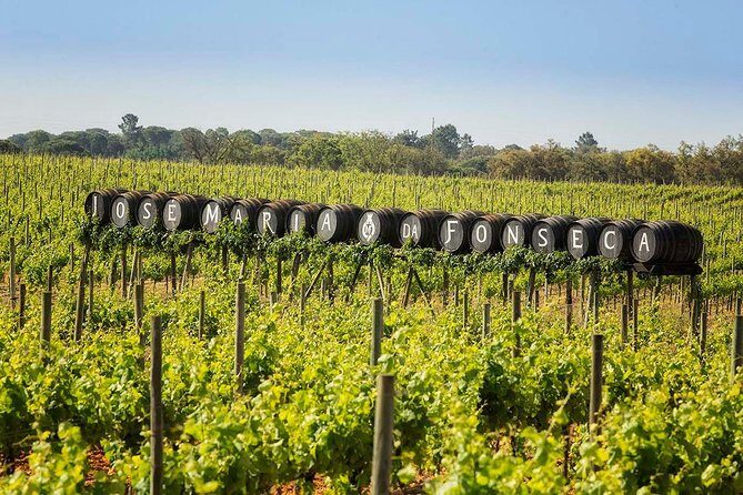 Private Lisbon wine tasting tour in the Setubal region - The Sum Up