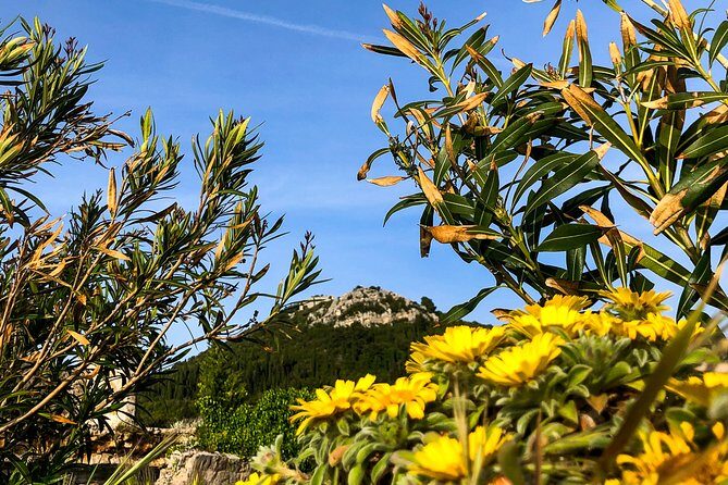 Private Lopud Walking Tour - Why This Tour Works