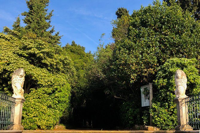 Private Lopud Walking Tour - Final Thoughts