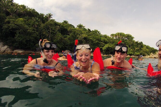 Private Los Arcos Snorkel and Beach Tour from Puerto Vallarta - A Detailed Look at the Experience