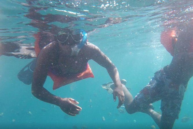 Private Los Arcos snorkeling - The Guide and the Experience