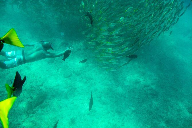 Private Los Cabos snorkeling tour to Chileno bay and Santa Maria cove - The Sum Up