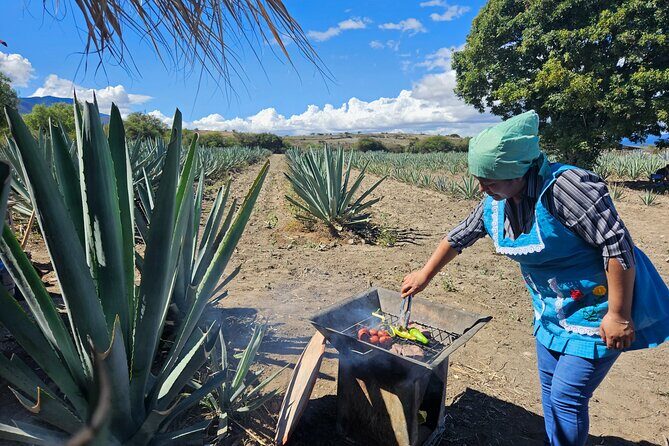 Private Lunch in Mezcal Maguey Fields - An Authentic Dive into Oaxaca’s Mezcal Heritage