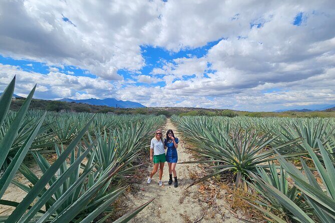 Private Lunch in Mezcal Maguey Fields - The Rustic, Local Lunch in the Maguey Fields