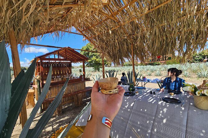 Private Lunch in Mezcal Maguey Fields - Who Will Love This Tour?