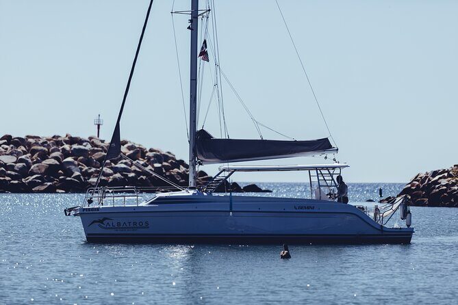 Private Luxury Adventure Tours in Cabo San Lucas - The Sum Up