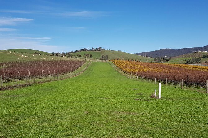 Private, Luxury and Tailored Yarra Valley Wine Tour - Key Points