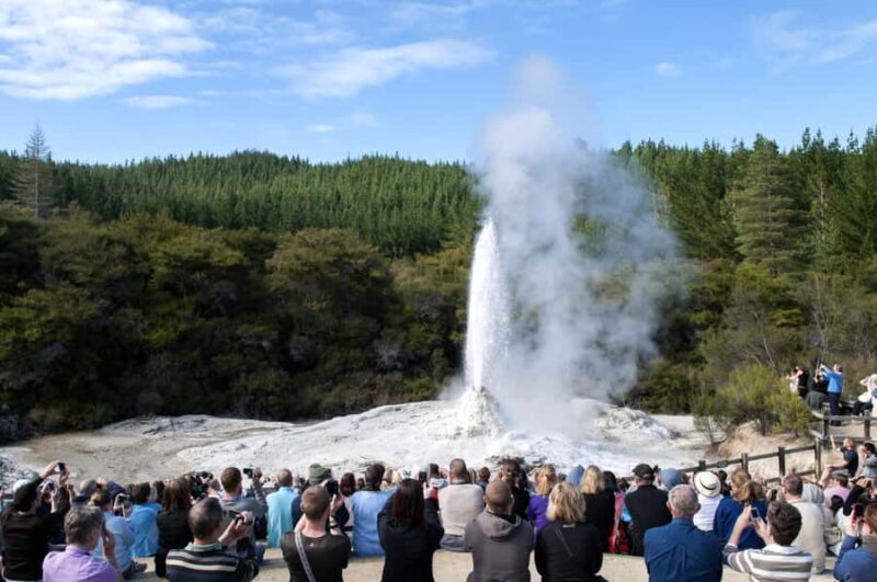 Private Luxury Auckland - Rotorua Geothermal Wonderlands - Who Is This Tour Best For?