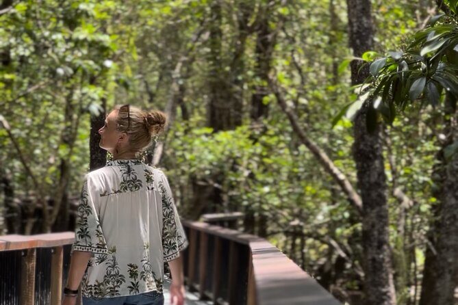 Private Luxury Cape Tribulation Adventure and Crocodile Cruise - A Closer Look at the Itinerary