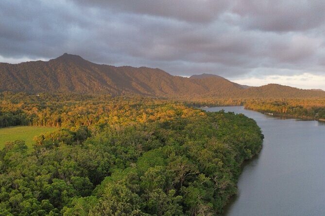 Private Luxury Cape Tribulation Adventure and Crocodile Cruise - Who Is This Tour Best For?