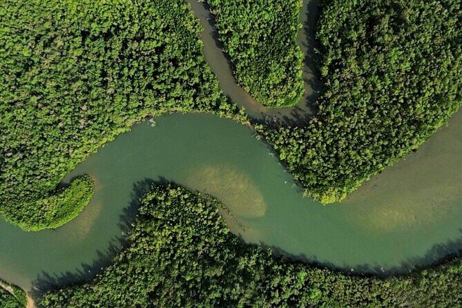 Private Luxury Cape Tribulation Adventure and Crocodile Cruise - Final Thoughts