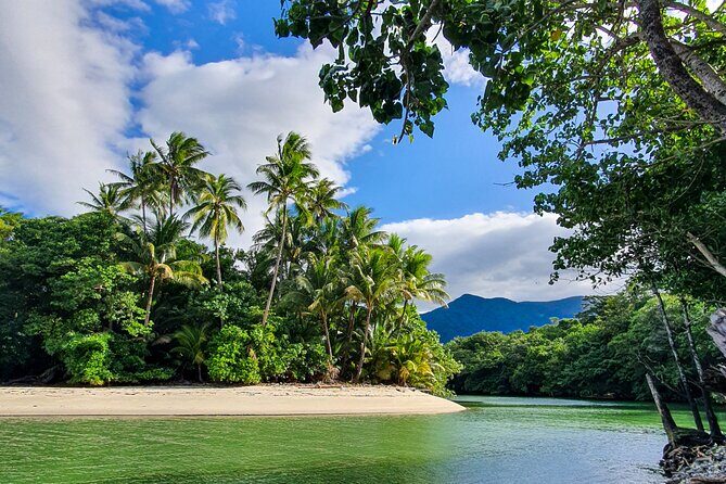 Private Luxury Daintree Dream Tour All Inclusive - Exploring the Daintree Rainforest with the Private Luxury Daintree Dream Tour